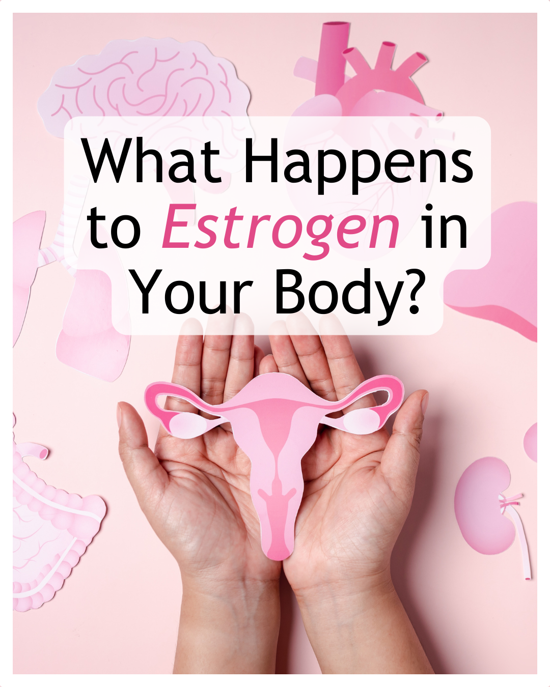 Estrogen Metabolism 101: How to Keep Your Hormones in Check - Vibrant ...